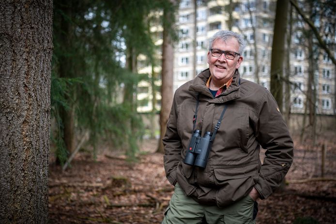 Boswachter Henk Ruseler overleden: decennia het gezicht van de Hoge ...