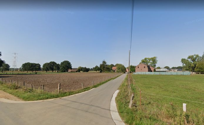 Beweeg je fit: wandelen langs mooie, rustige wegen in Grote-Brogel ...
