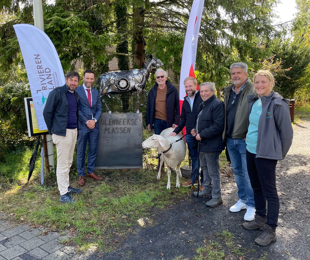 Trage weg, fitnesstoestellen en bloemenpluktuin: Molenbeekse Plassen ...