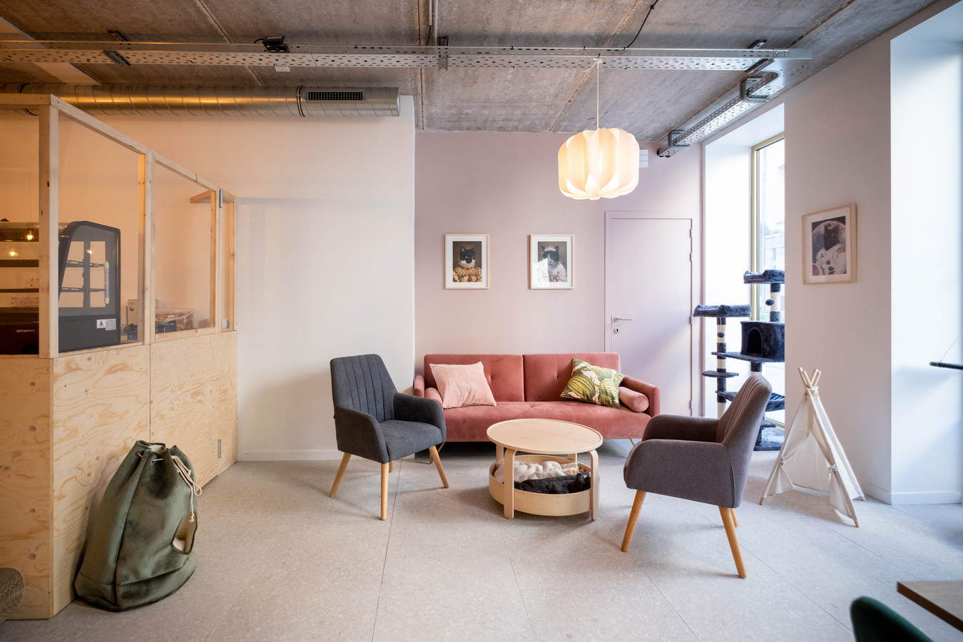 Dierenverzorgster Axelle (25) opent dinsdag Cats & Cups: “De katten ...