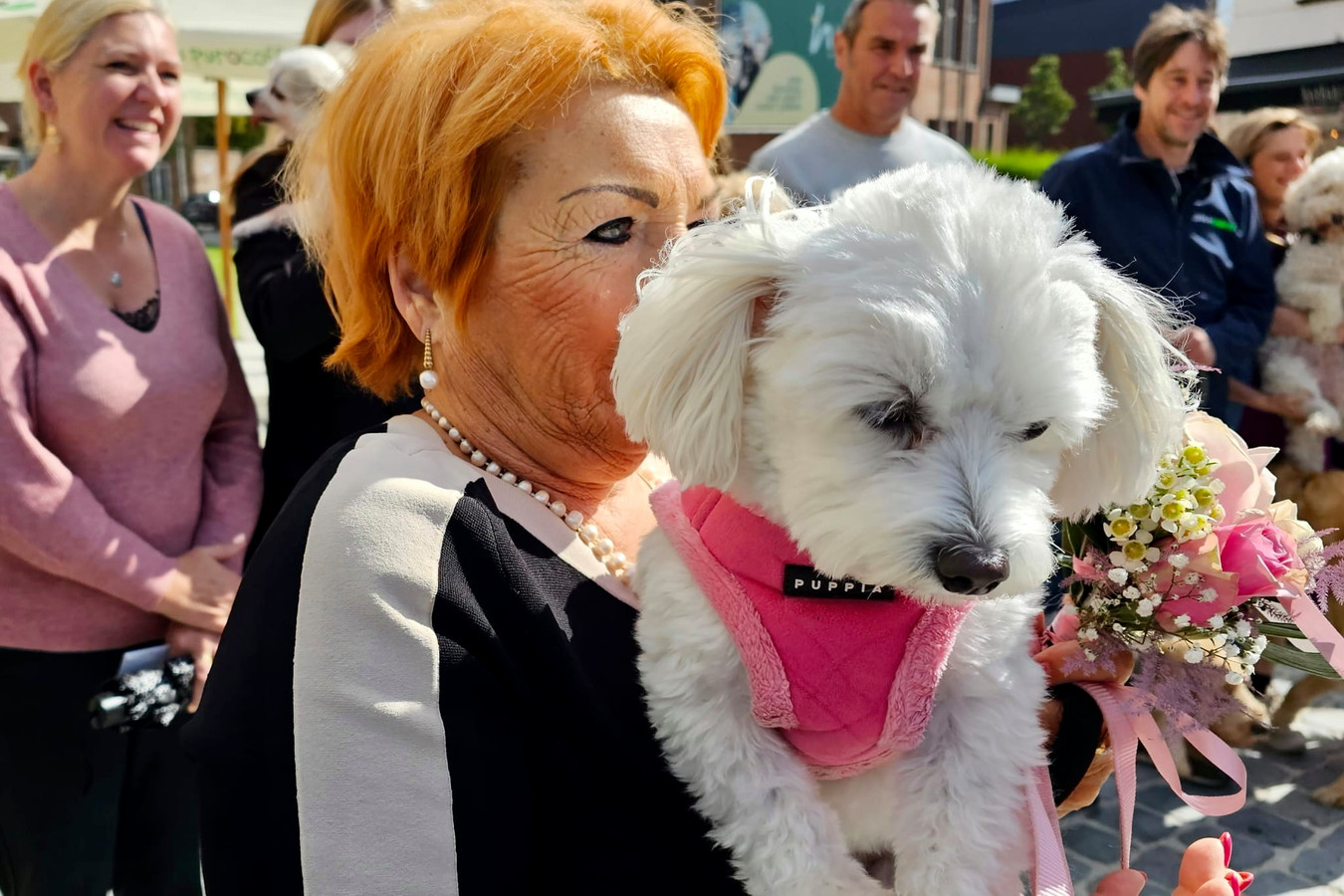Geen rijst of witte duiven, maar erehaag van kwispelende viervoeters ...