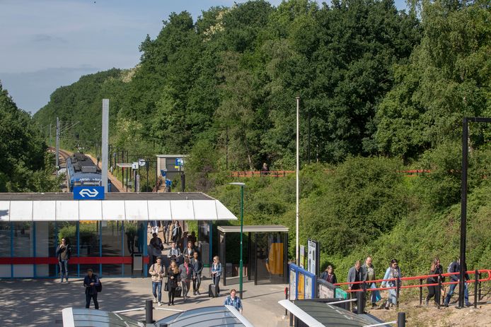 Flinke toename meldingen verward gedrag in Rhenen, maar het komt niet ...