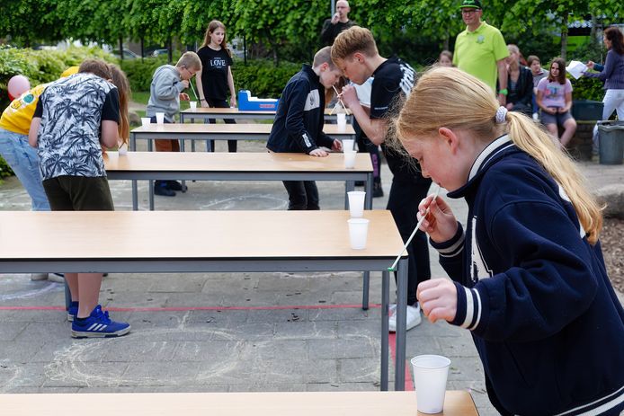 Spelletjes spelen en zoveel mogelijk punten verzamelen: wie wordt de ...