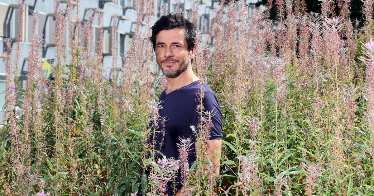 Dieter Coppens ontgoocheld door kritiek van William Boeva: “Met ‘Down ...