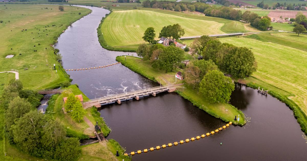 Waterschap wil zomerbed Vecht vrijmaken van obstakels voor hoogwater ...