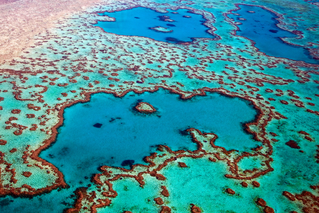 Unesco wil Great Barrier Reef stempel ‘in gevaar’ geven, Australië ...