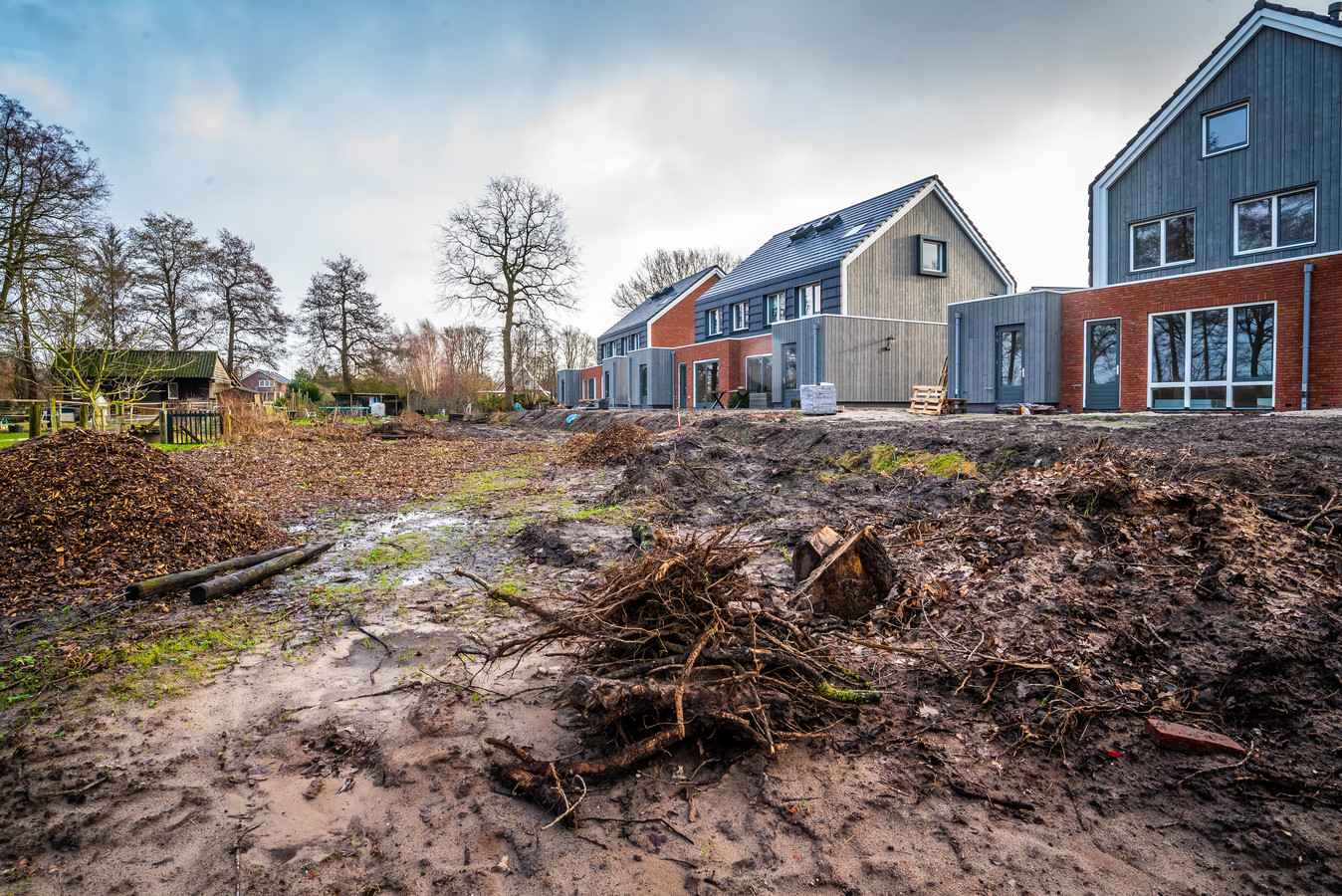 Monumentale houtwal in Haaksbergen gekapt: ‘Dit kunt u de gemeente ...