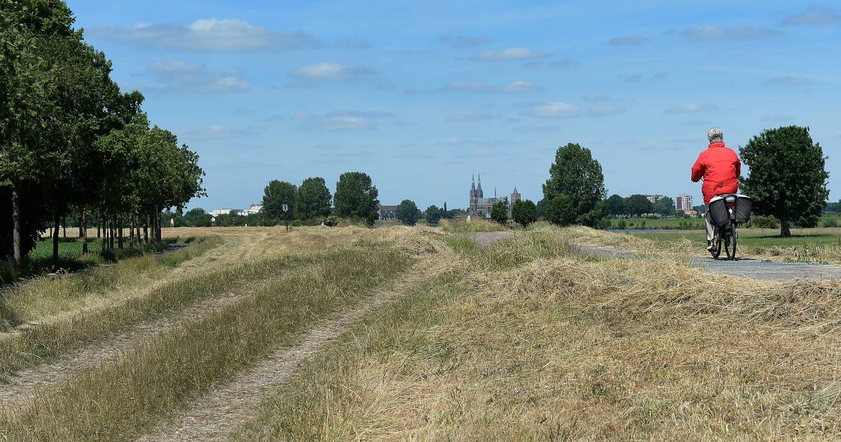 Er is grondwater genoeg. Sproeien van grasland mag in Brabant gewoon ...