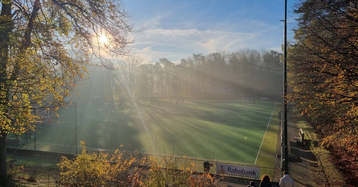 Volwassen en (weer) benieuwd naar hockey? Apeldoornse hockeyclub geeft speciale trainingen ...