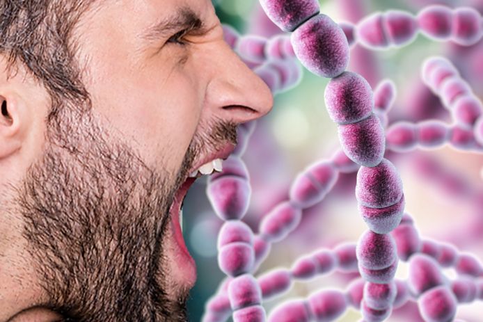 Man raakt in café besmet met levensgevaarlijke bacterie na beet in het ...
