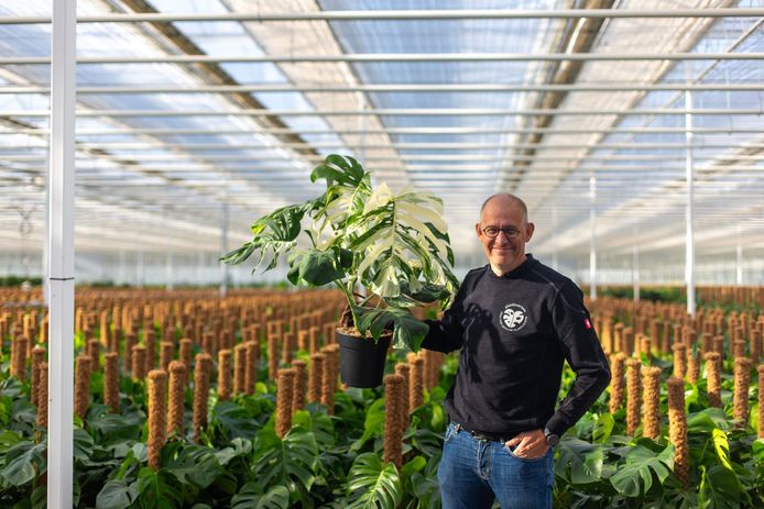 Valt Wommelgemnaar Dirk in de prijzen tijdens ‘Oscars van de ...