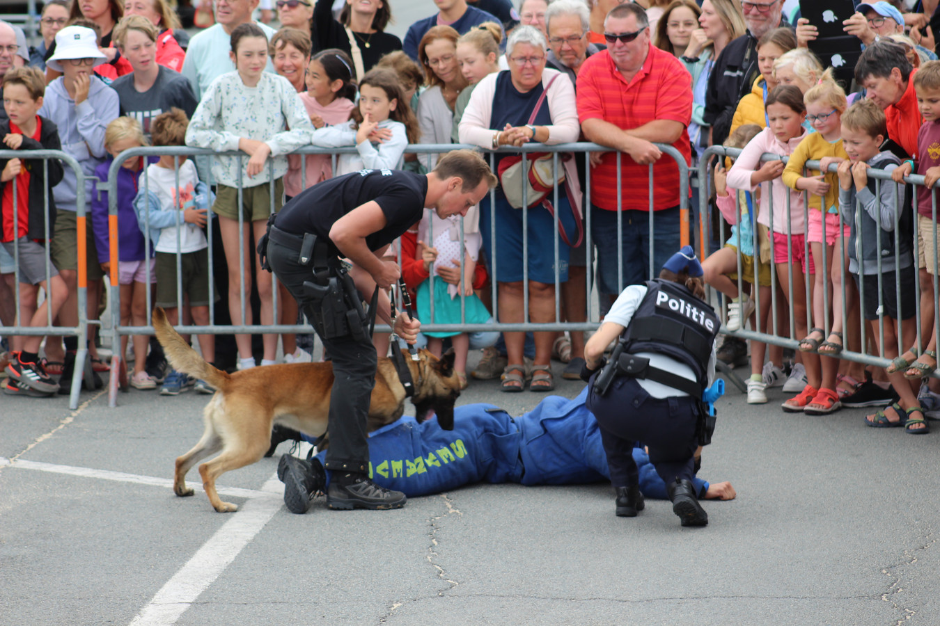 120 politiehonden tonen hun kunnen op K9-day op strand van Koksijde ...