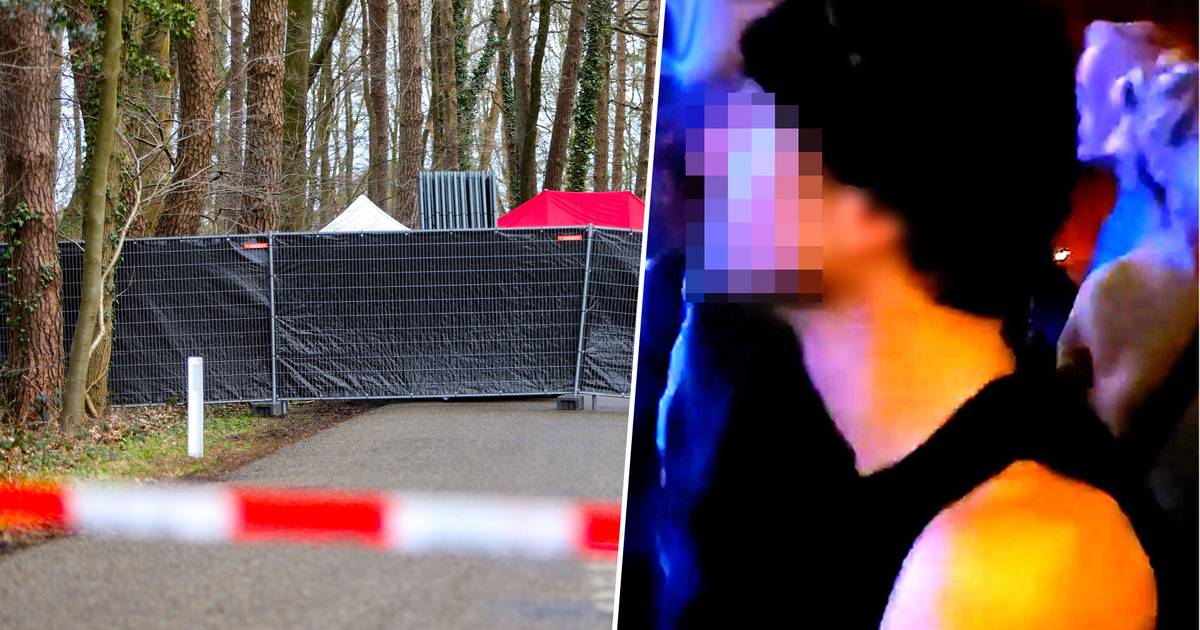 Jeremy (52) doodde zijn ex Sylvia (45) in Apeldoorn en liet haar lichaam achter in de berm: tien ...