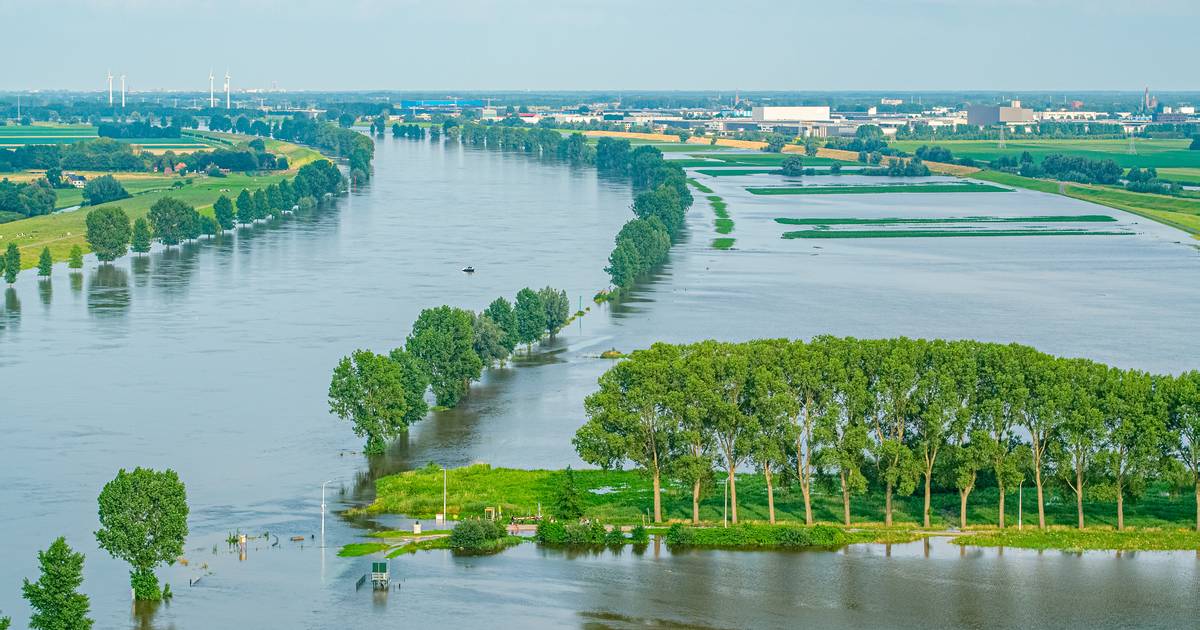 Inspectie waterschap na zomerzondvloed: ‘Dijken hebben zich goed ...