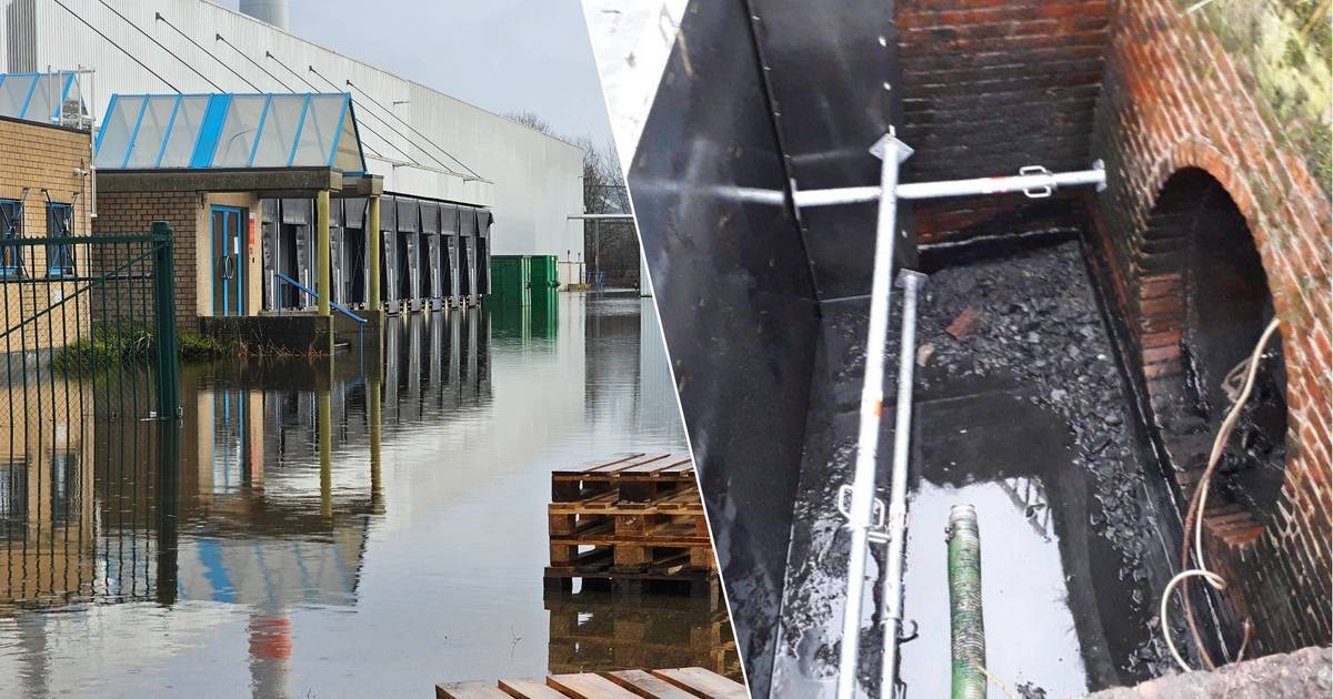 KIJK. Aa zorgt voor nog meer water op Bremheidelaan: “Hogere dijk kan ...