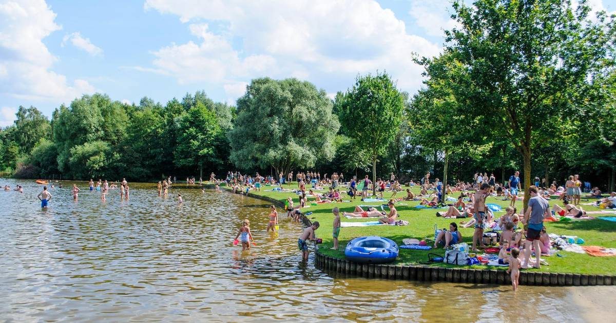Zomerpret aan (nog steeds overstroomde) Plas | Rotselaar | hln.be