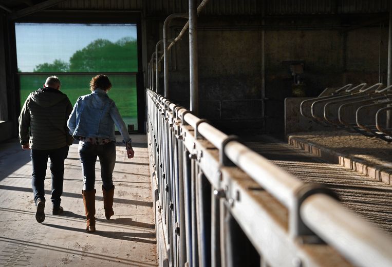 Stikstofchaos: Gelderse Staten verbolgen over niet nagekomen afspraken ...