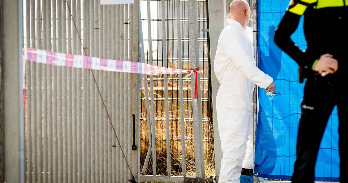 Shurandy S. bekent doodschieten broer kroongetuige B. | Amsterdam | AD.nl