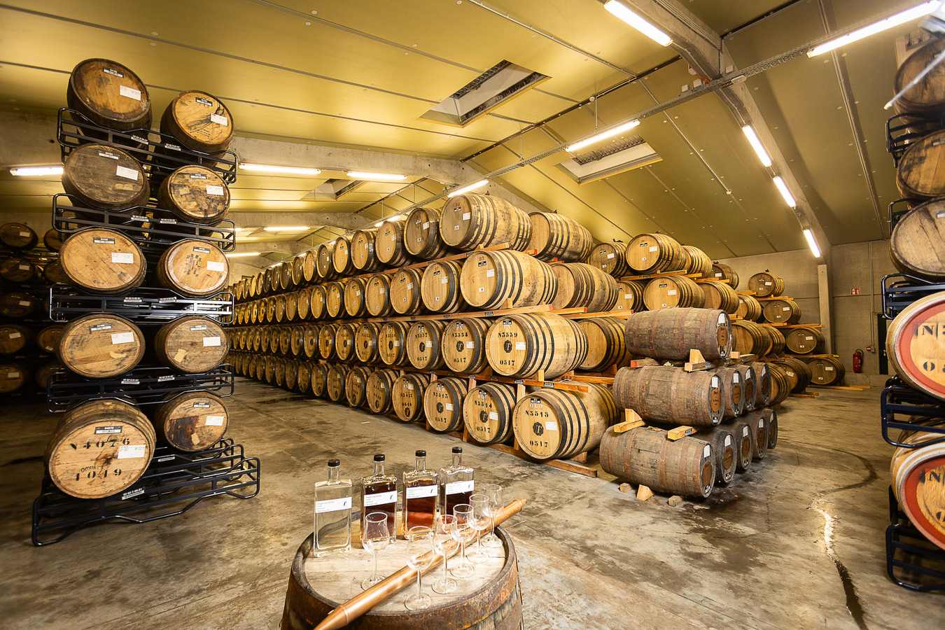 15 jaar na dodelijk ongeluk van Jan Filliers wordt zijn zoon Benoit (27 ...