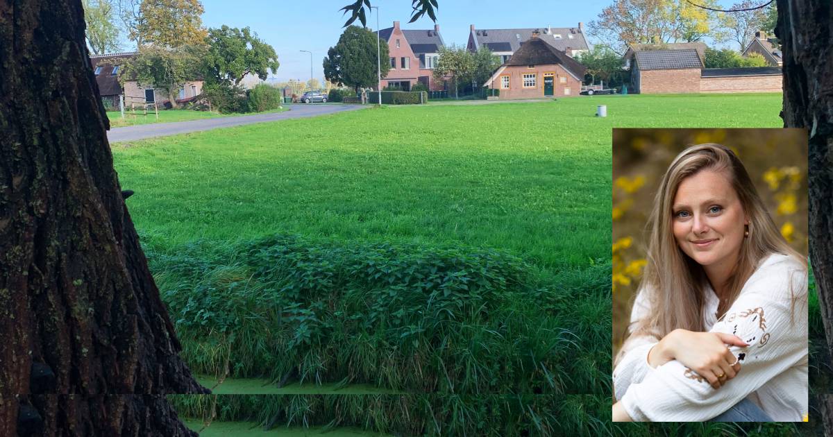 Mirte (24) doet beroep op bezwaarmakers: 'Ik wil al jaren eigen tuintje ...