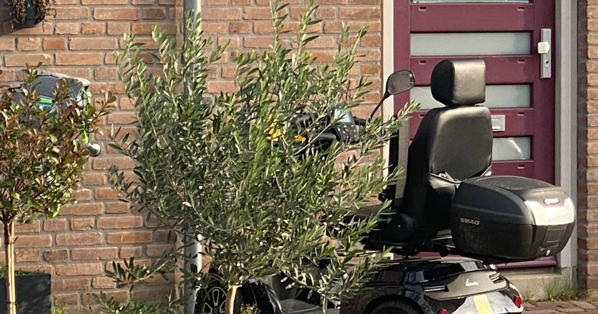 Stalling voor scootmobiel of fiets in de voortuin? Veldhoven gaat ...