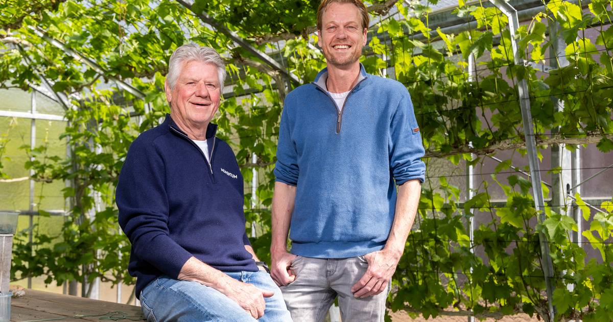 Gerard werkt al 25 jaar aan plan voor een levendig centrum, nu maakt ...