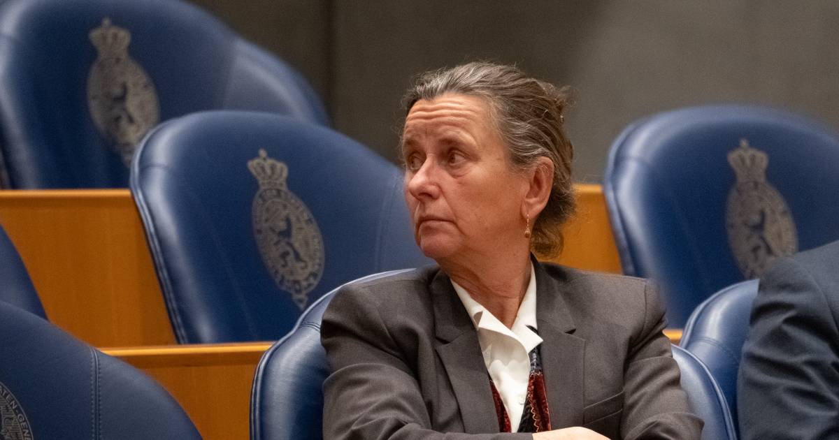 ‘Binnen twee zinnen zat mevrouw F. op haar stokpaard’ | Columns Marcel ...