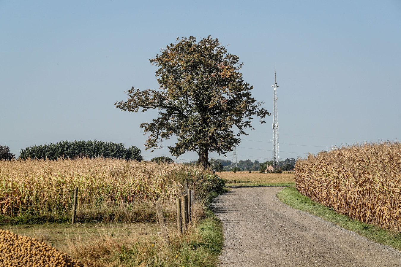 Van een dagschotel bij Pascalleke tot bezinnen onder de Witseboom: hier ...