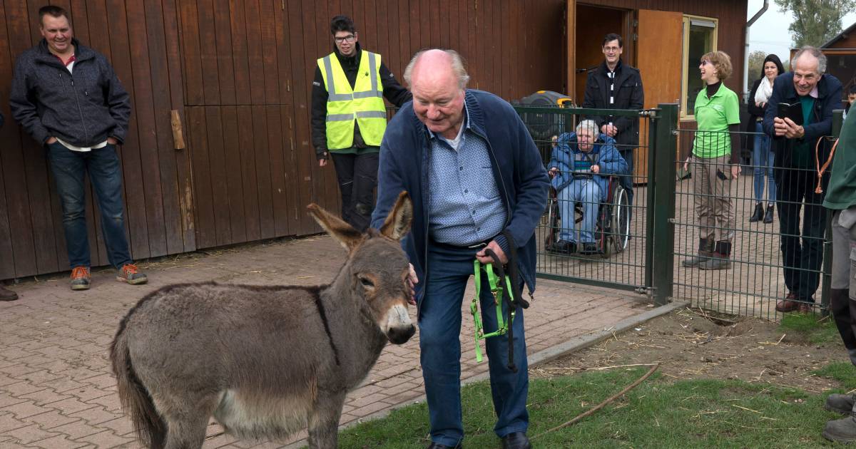 Kinderboerderij in Duiven verwelkomt een bijzonder nieuw dier | Duiven ...