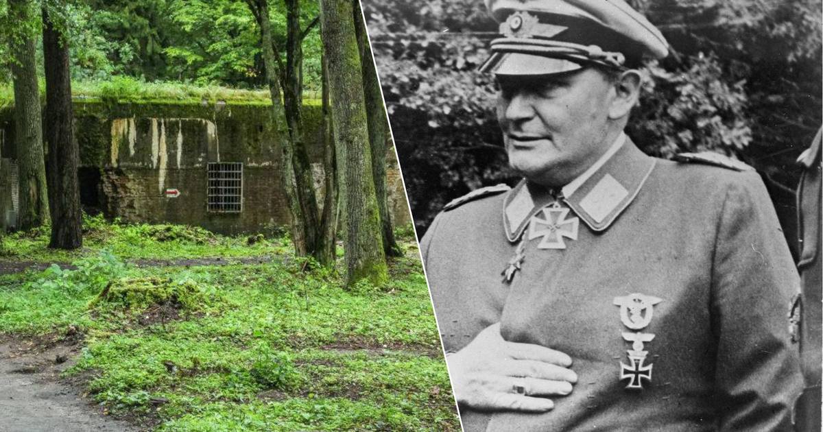Vijf skeletten aangetroffen in huis van nazi-kopstuk Göring: parket ...