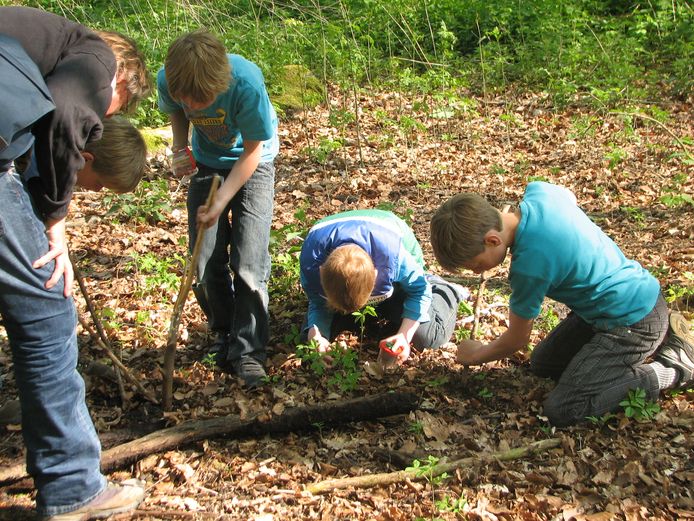 Met het hele gezin speuren naar sporen in het bos | Oosterhout ...