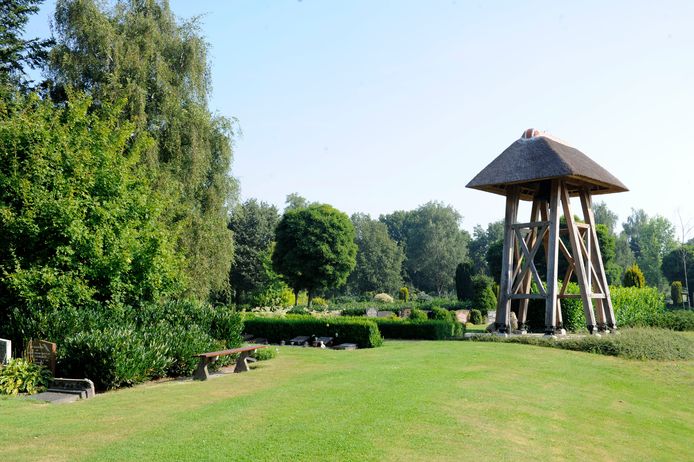 Rusten in het groen: natuurbegraafplaatsen mogelijk op 3 plaatsen in ...