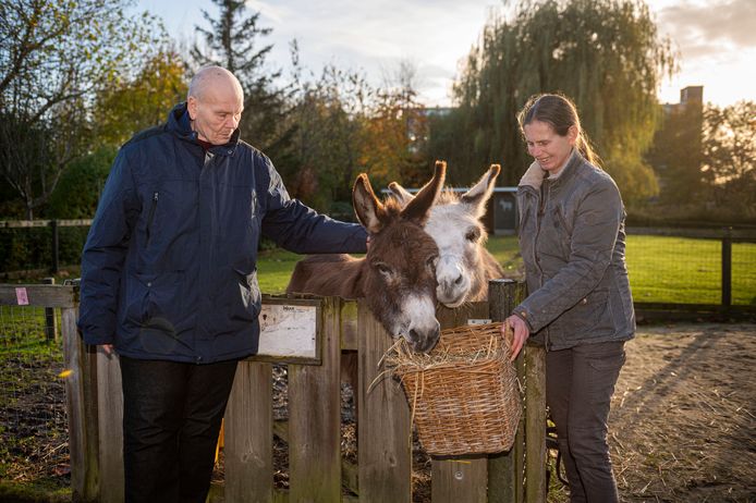Ezel Yamas brengt geld in het laatje bij kinderboerderij in Breda ...