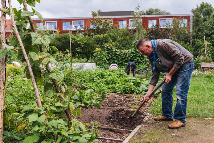 Vrijwiligers gezocht voor gezamenlijke moestuin Wapenveld ...