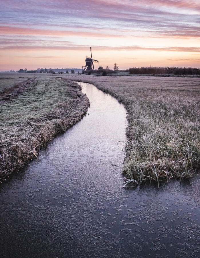 Witte schapenvachtjes gaan moeiteloos over in het al even witte ...