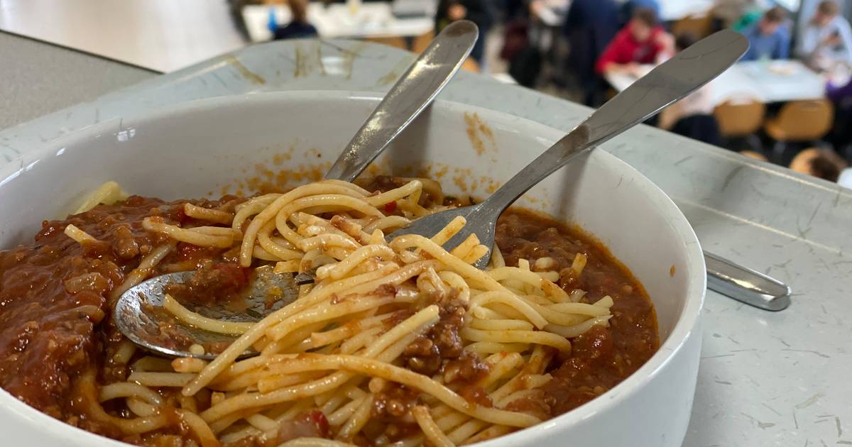 “Ik voorspel revolutie”: niet meer elke dag warme spaghetti te ...