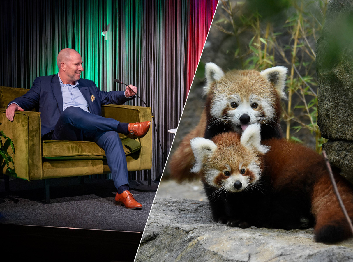 Wilde dieren opsluiten voor ‘vermaak’ bezoekers? Diergaarde Blijdorp ...