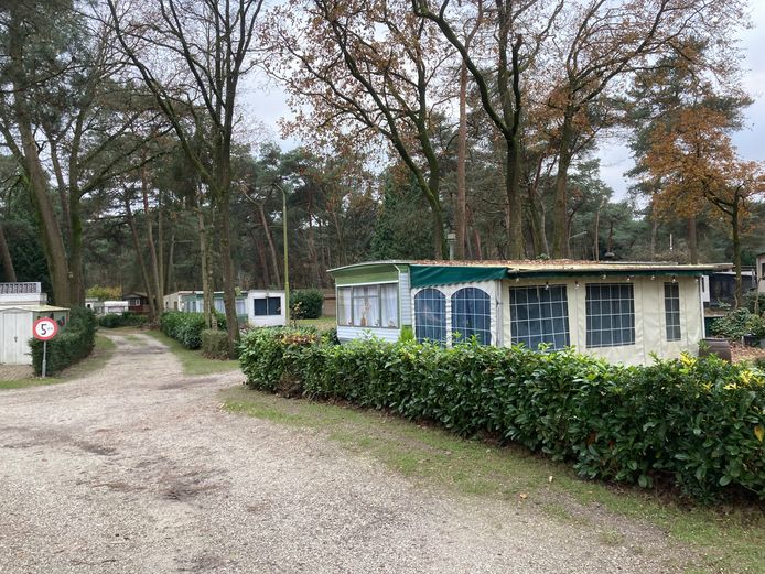 Camping Boekels Ven stond heel even te koop, voor 2,5 miljoen | Boekel | AD.nl