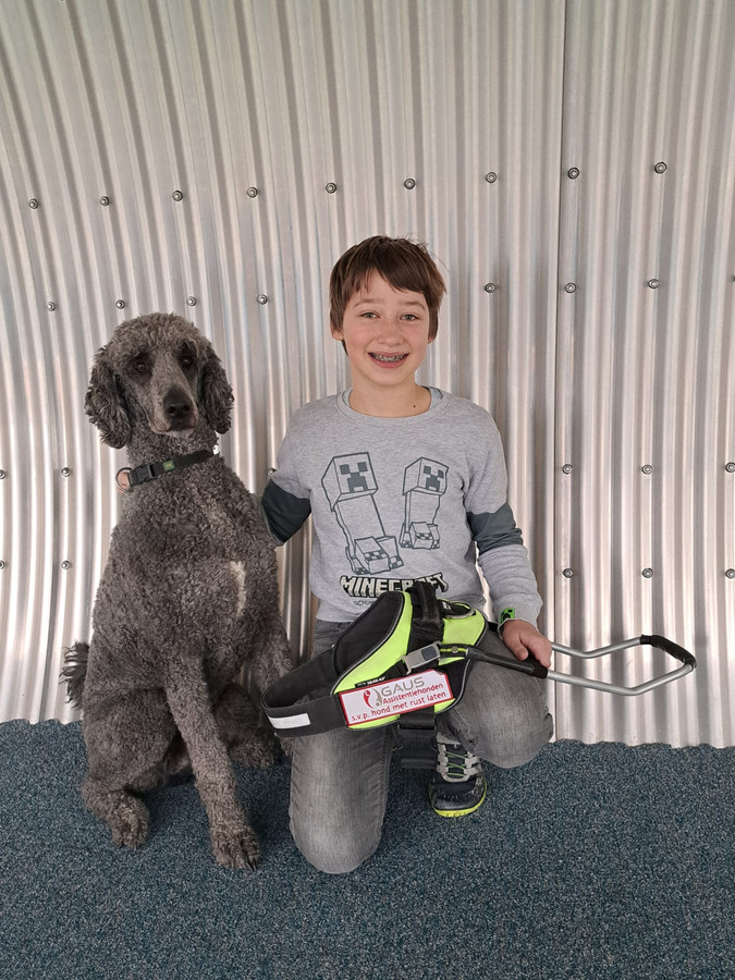 Jesse (11) versiert zijn huis om geld op te halen voor de hulphond van ...