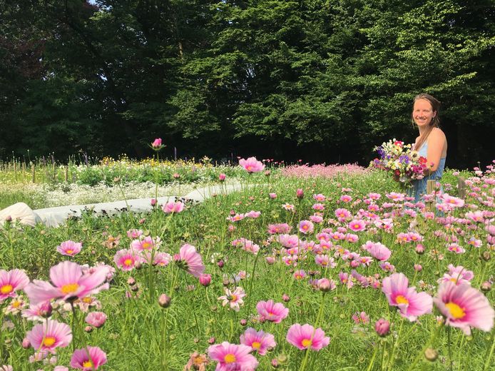 Bezoek biologische bloemenboerderij Fleur-Couleur tijdens hun ...