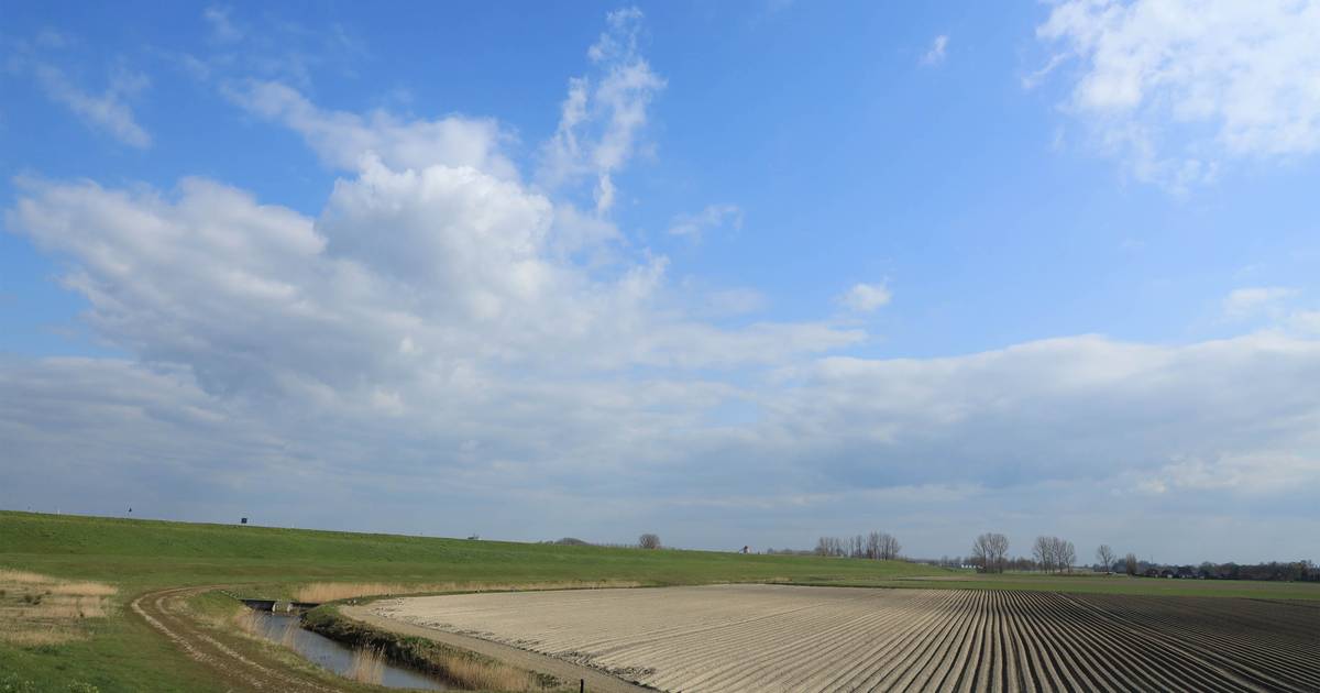 Vertraging volgt op vertraging: komt Plan Perkpolder nog ooit van de ...