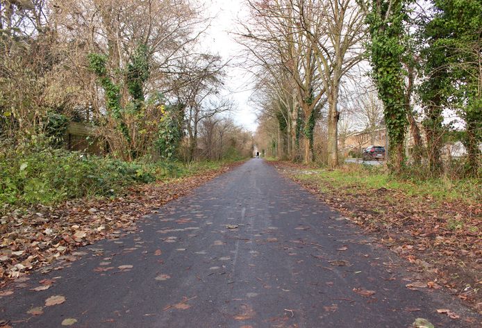 Veiliger fietsen en wandelen op Groene 62 dankzij vers asfalt | Gistel ...