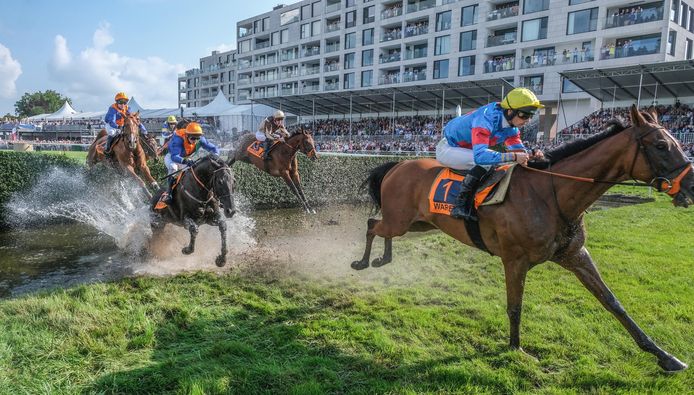Dit jaar kan ook jij meedoen aan Waregem Koerse: “175 jaar Waregem ...