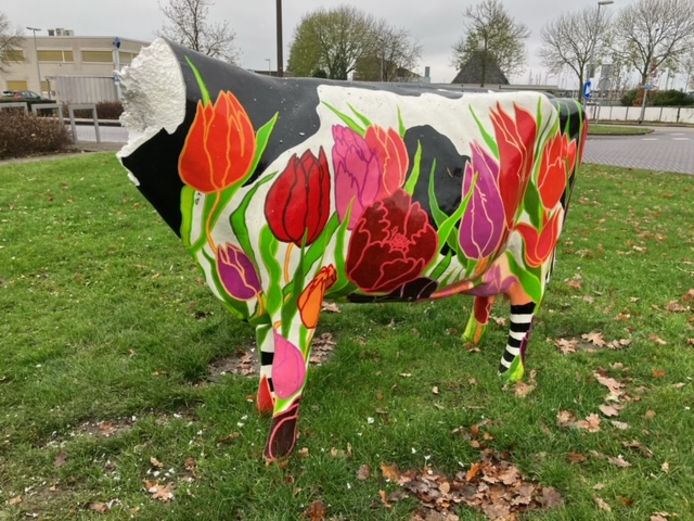 Bekendste ‘koe’ van Zeewolde op brute wijze onthoofd: ‘Hier heb je ...