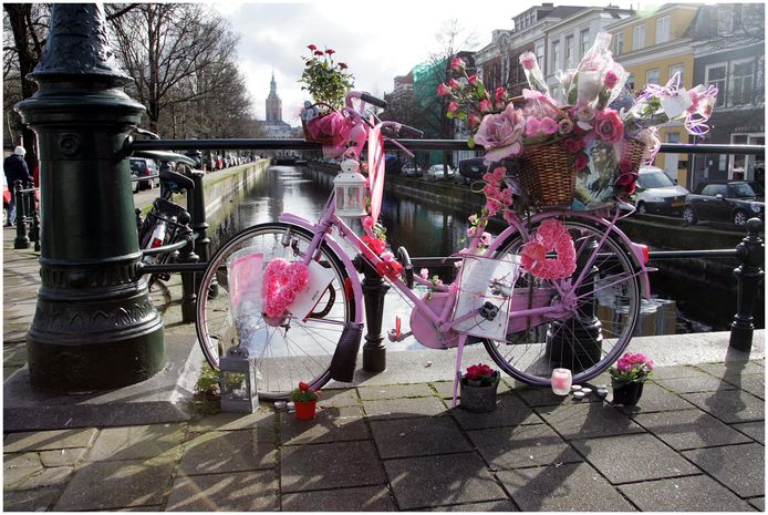 Roze fiets van overleden Lesley na werkzaamheden aan Elandbrug terug op ...