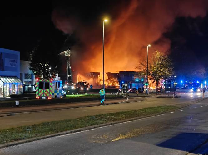 Beschilderde grafkelder uit 14de eeuw ontdekt onder Onze-Lieve-Vrouwekerkhof: “Ook al 45 ...