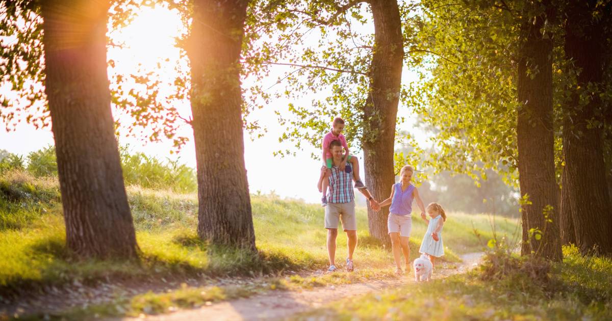Nouvelle journée ensoleillée ce vendredi | Belgique | 7sur7.be