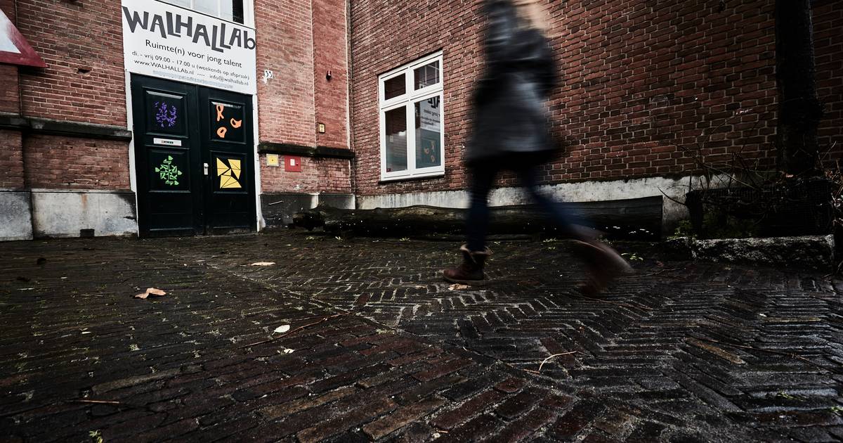 Machtsmisbruik Ruzie En Seks Bij Walhallab Dat Ook In Helmond Zat