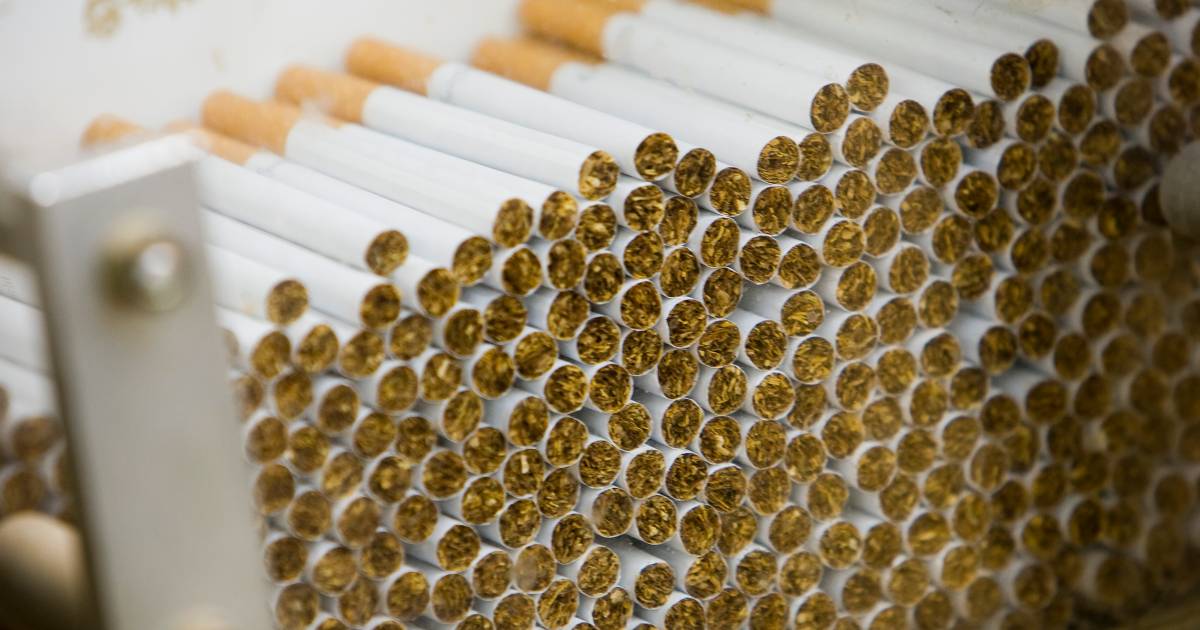 Nederland 'op jacht' naar top-10 duurste sigaretten ter wereld ...