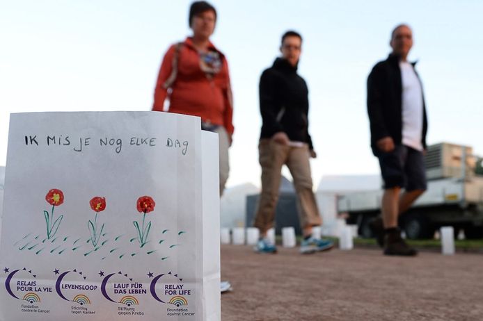 Levensloop Neteland strijkt eind juni neer in Herenthout: “In 24 uur ...